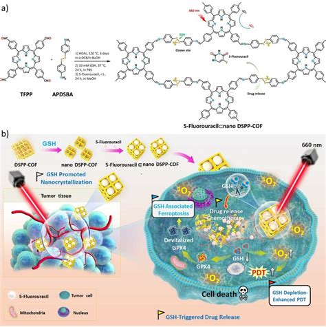 Scheme 1 A Synthesis Of Dspp Cof Nano Dspp Cof And 5 Fu Nano Download Scientific Diagram