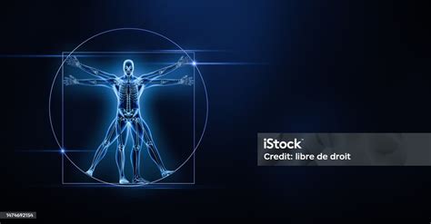인간의 남성 몸과 뼈는 파란색 배경에 복사 공간이 있는 3d 렌더링 그림입니다 골격 또는 골격 해부학 의료 의료 의료 과학 생물학 골학 개념 3d 스캔에 대한 스톡 사진 및