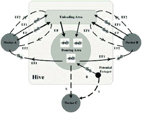 Artificial Bee Colony Download Scientific Diagram