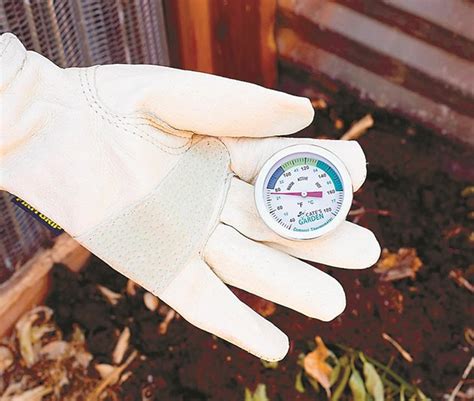 6 съвета за компостиране на птичи тор Български Фермер