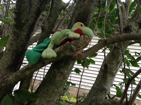 Treecko In A Tree By Seemycriitersss On Deviantart