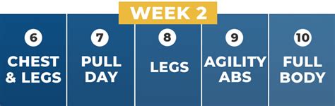 Athlete Workout Program Free Strength And Conditioning Plan Pdf