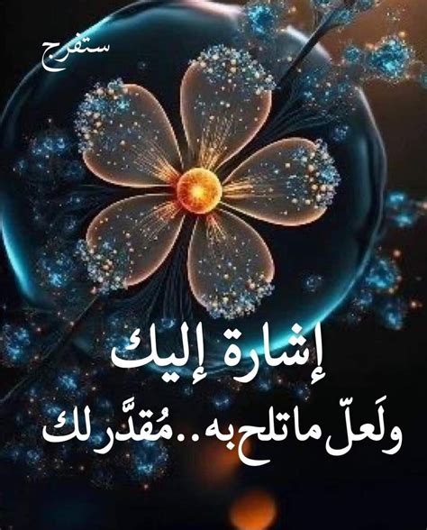 mohamed zakaria posted on linkedin