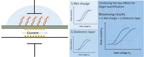 Nucleic Acid Detection Helios Bioelectronics Inc