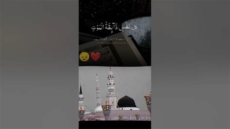 Lslamic Music Status Explore Love Quran Youtube