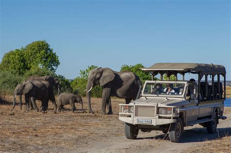 Best Of Botswana Tour 7 Days 6 Nights Safari Ventures