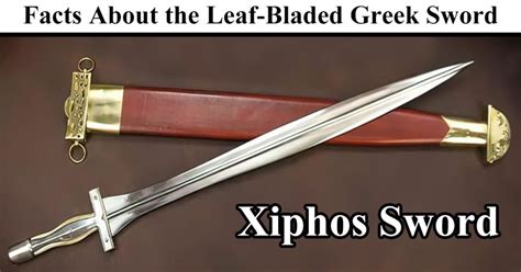 Xiphos Sword Discovering The Leaf Bladed Greek Weapon Swordskingdom Uk