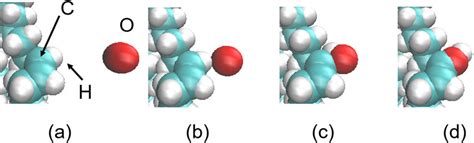 Spatiotemporal Behaviour Of Chain Reactions Between Incident Oxygen Download Scientific Diagram