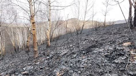 Ntv Мэдээ СЭЛЭНГЭ АЙМГИЙН ЗҮҮНБҮРЭН СУМАНД ГАРСАН ОЙН Facebook