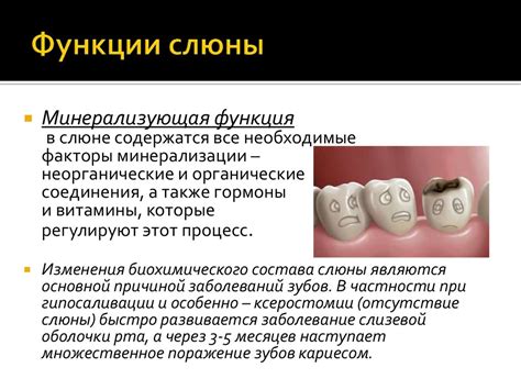 Роль слюнных желёз в пищеварении Online Presentation