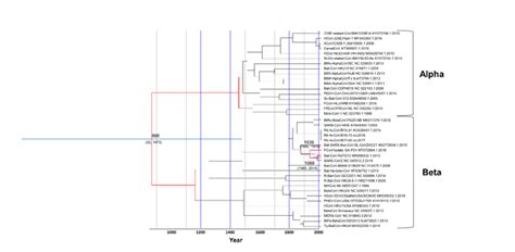 GitHub gotjd viruslab bioinformatics 감염병 연구실에서 제가 작성한 R 코드와 결과들입니다