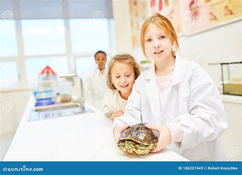 Pupil With A Turtle In The Laboratory Stock Image Image Of Species