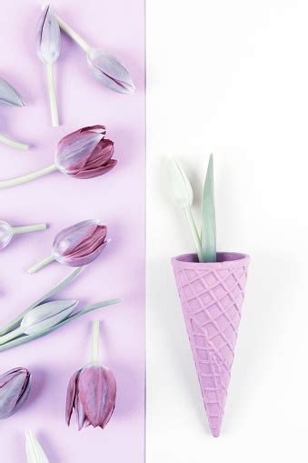 두 톤 노란색과 분홍색 배경에 튤립으로 만든 프레임 테두리 최소한의 디자인 인사말 카드 0명에 대한 스톡 사진 및 기타 이미지 0명 3월 Day 8 Istock