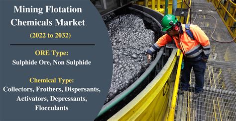 Optimizing Extraction Mining Flotation Chemicals Market Fuels