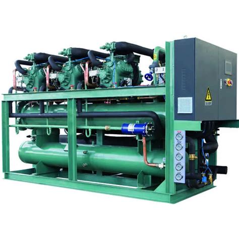 Bitzer 4pes 15y Parallel Rack Systems