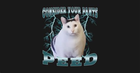 Consider Your Pants Peed Funny Cat Meme Silly Humor Joke Consider