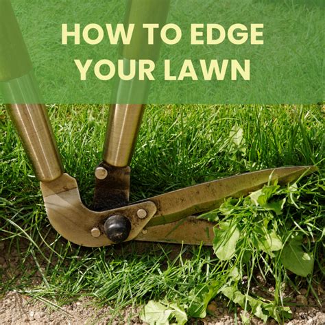 Lawn Edging How To Edge Your Lawn
