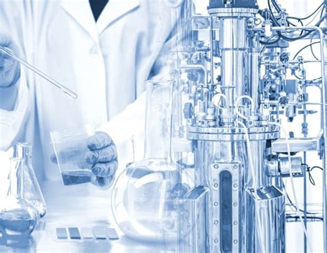 Insights Into Raman Spectroscopy As A Bioprocess Analytical Technique