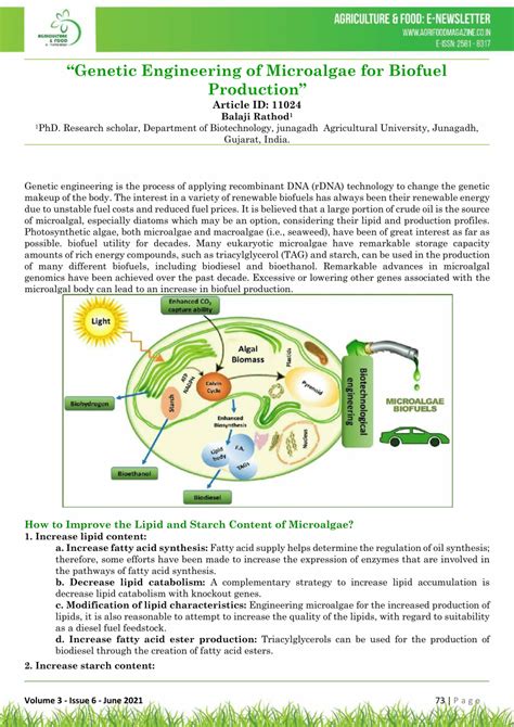 PDF Genetic Engineering Of Microalgae For Biofuel Production How To Improve The Lipid And