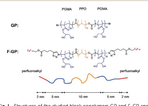 Figure 1 From Binding Of Amphiphilic And Triphilic Block Copolymers To