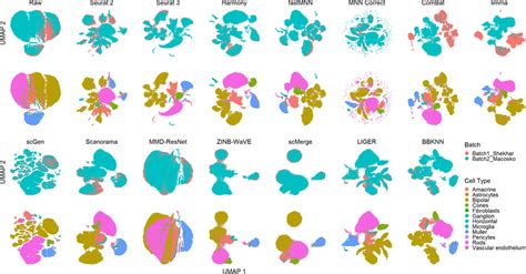Qualitative Evaluation Of 14 Batch Effect Correction Methods Using Umap Download Scientific