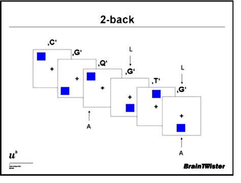 Figure 1 From Working Memory Training Does Not Improve Intelligence In Healthy Young Adults