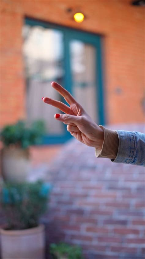 ‎بوتیک هتل و کافه رستوران عمارت ۸۵‎ ‎بيا يه امروزو با يه ليوان دمنوش