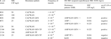 Characteristics Of Aac 6 Ib Cr Bearing Donors And Transconjugant Strains Download Table