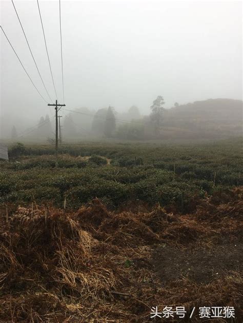 高山自有福地 每日頭條