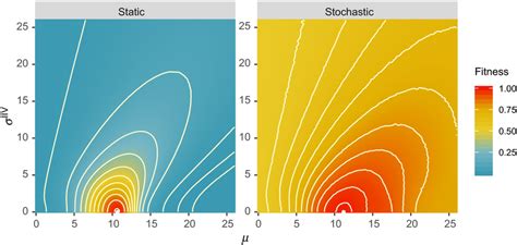 Fitness Landscapes Under A Static Environment And Stochastic