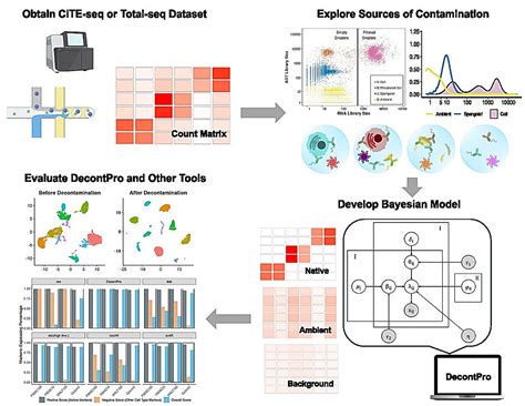 Researchers Develop New Method To Help With Analysis Of Single Cell Data