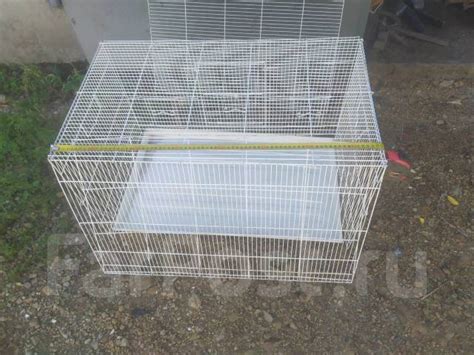 Клетка для большого попугая, птиц, в наличии. Цена: 2 000₽ в Хабаровске