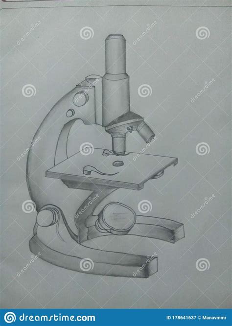 Compound Microscope Images