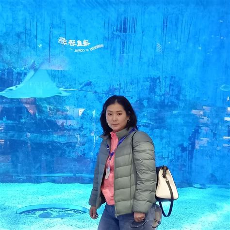 Joy Hollywood Шаазан Паалан Үүдэн соёо шүд ба бага араа бүлгийн