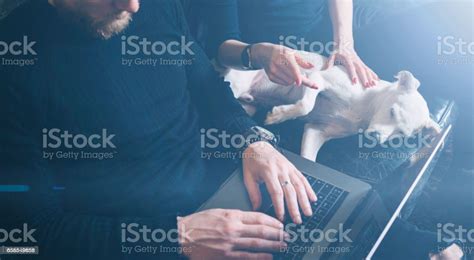 현대 직장에서 일 하는 수염된 동료 남자 빈티지 소파에 앉아 현대 노트북을 사용 하 여 여성 손 노트북 화면에 가리키는입니다 수평 한 시각 효과입니다 경영자에 대한 스톡