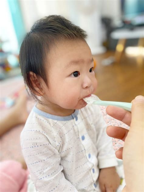 배달이유식 팜투베이비로 시작 네이버 블로그