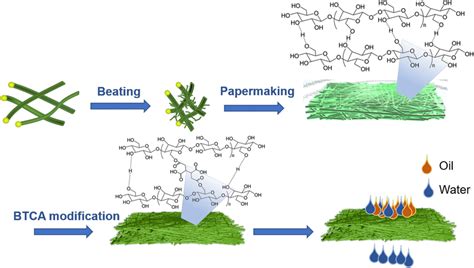 Schematic Of The Fabrication Procedure Of Underwater Superoleophobic Download Scientific