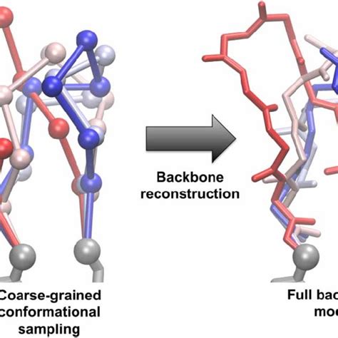 A Typical Computational Protein Design Workflow Download Scientific Diagram