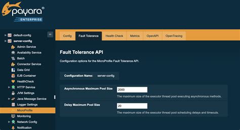 Eclipse Microprofile Fault Tolerance Api Payara Enterprise Documentation