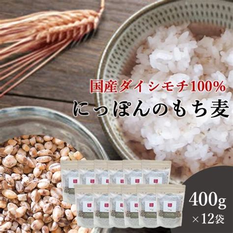 もち麦 国産 400g 12袋セット 送料無料 国産 希少ダイシモチ100 食物繊維 ポリフェノール 無添加 雑穀 大麦 裸麦 もち麦ダ
