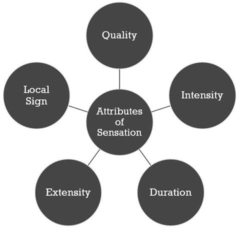 Difference Between Sensation And Perception With Examples Concept And
