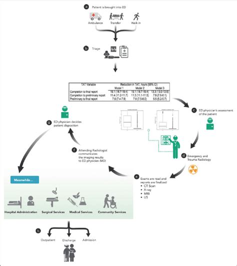 Graphical Illustration Depicting The Workflow Of Emergency And Trauma