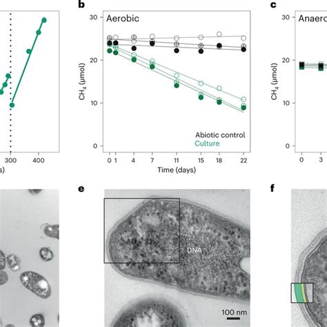 Microbial Community Characteristics Based On Amplicon Based Sequencing Download Scientific