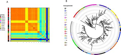 A Graphical Representation Of The Clustering Of Isolates Based On