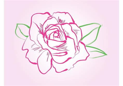 กุหลาบวาดเวกเตอร์ Ai Uidownload