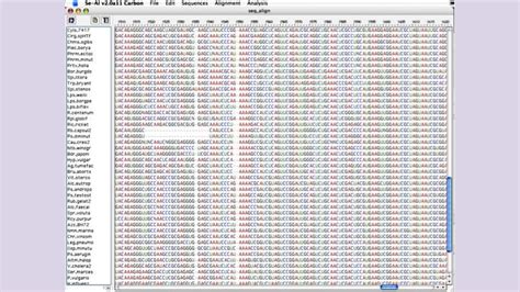 Phylogeny With Modern Methods Explanation With Examples Ppt