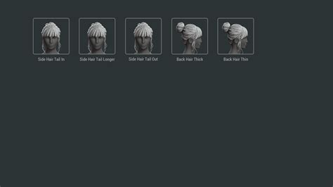 Lite Hair Female Vol 3 Character Creatorhair Reallusion Content Store