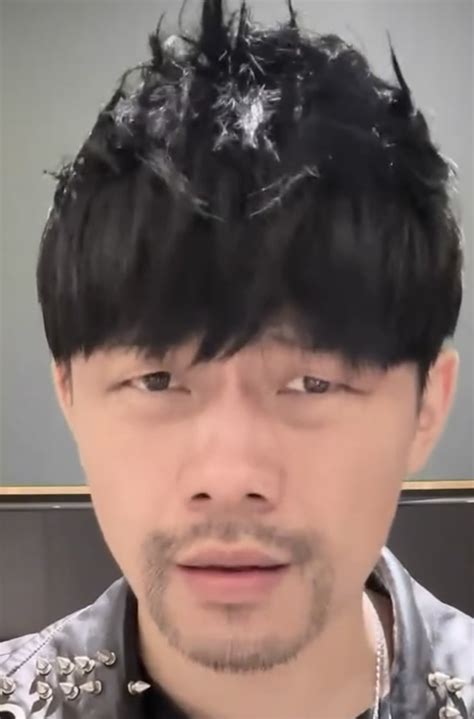 Fake Chou Object Detection Dataset By Dennis Huang