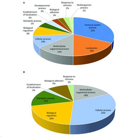 Functional Distribution Kegg Database Of Transcripts The