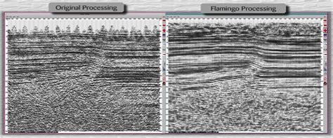 Processing Flamingo Seismic